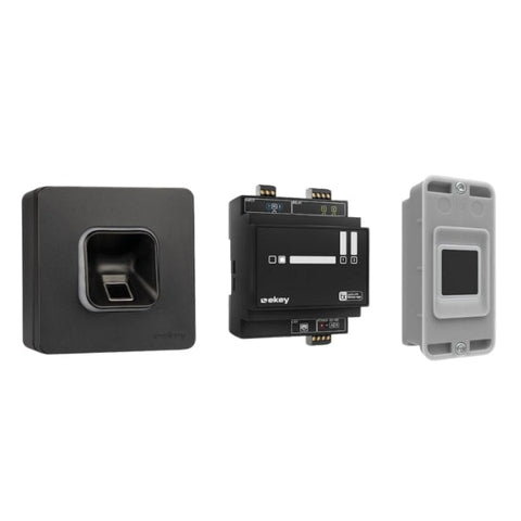 Traza Identificación